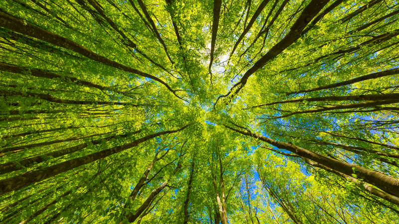 Webinar: Environmental Reporting - Wisconsin Broadcasters Association